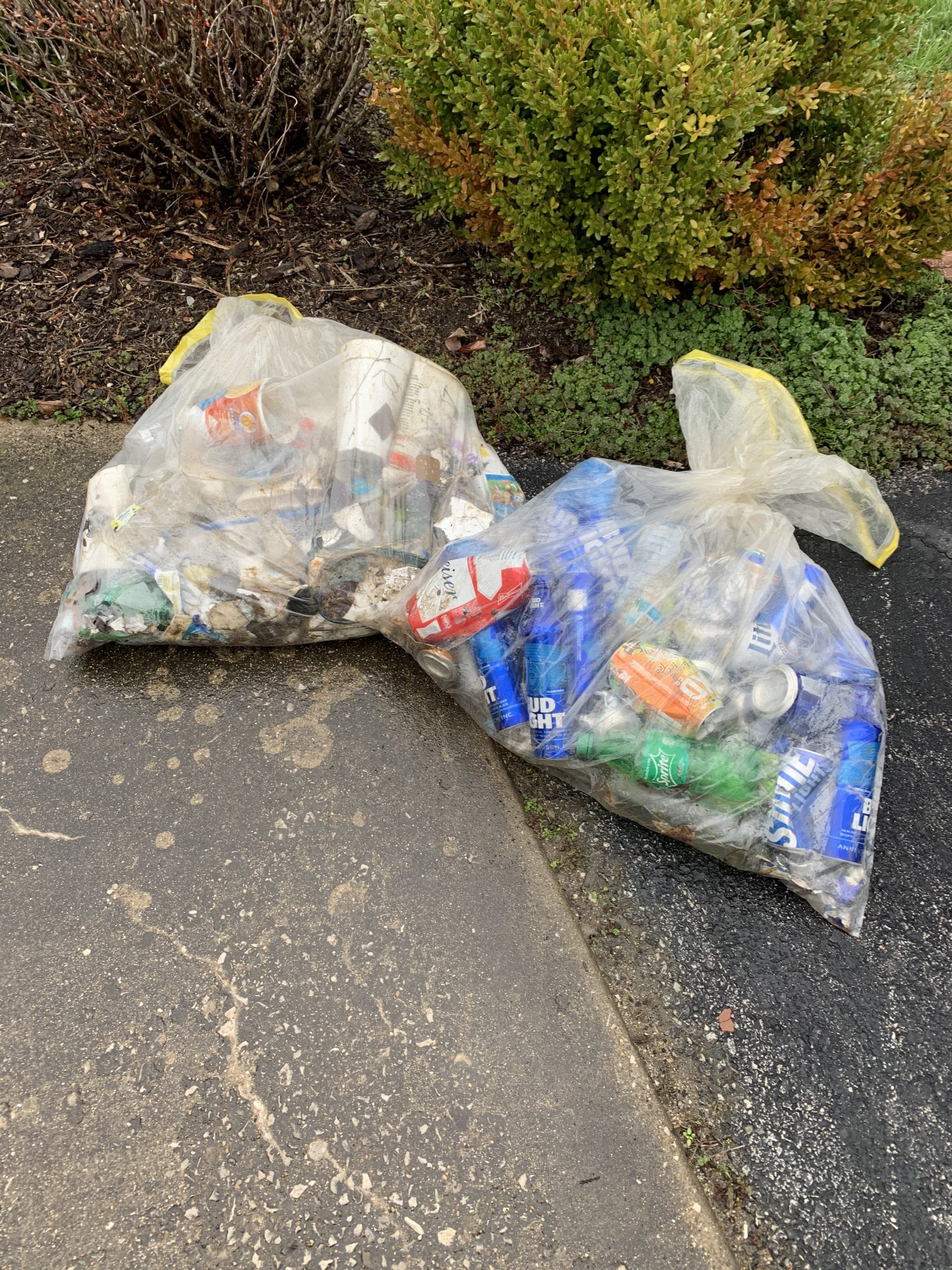 Riverbend Trash Tag Challenge - The Nature Institute