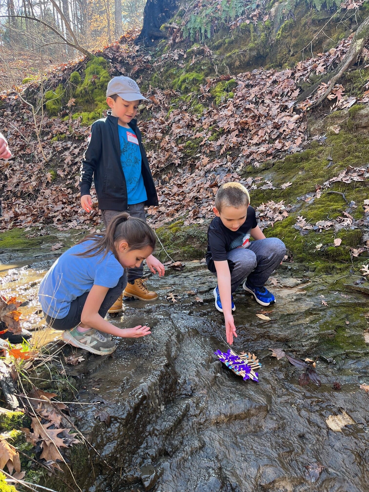 Field Trips - The Nature Institute