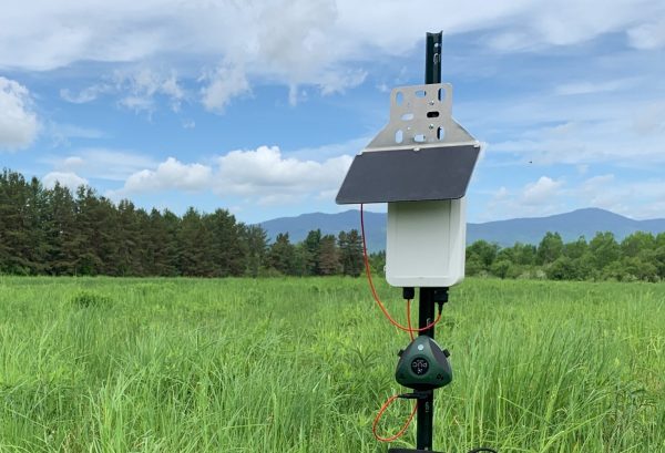 Birdweather Observations - The Nature Institute