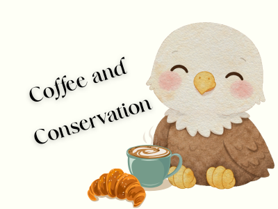 Coffee and Conservation: Eagle Watching at the Mississippi Sanctuary ...
